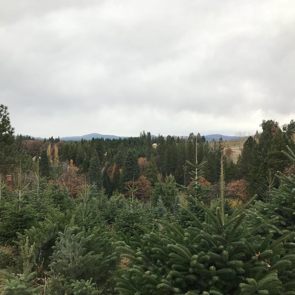 Crystal Creek Farm - 2019 Cable Rd