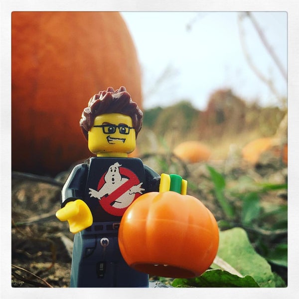 Pinehaven Farm - Arts and Entertainment