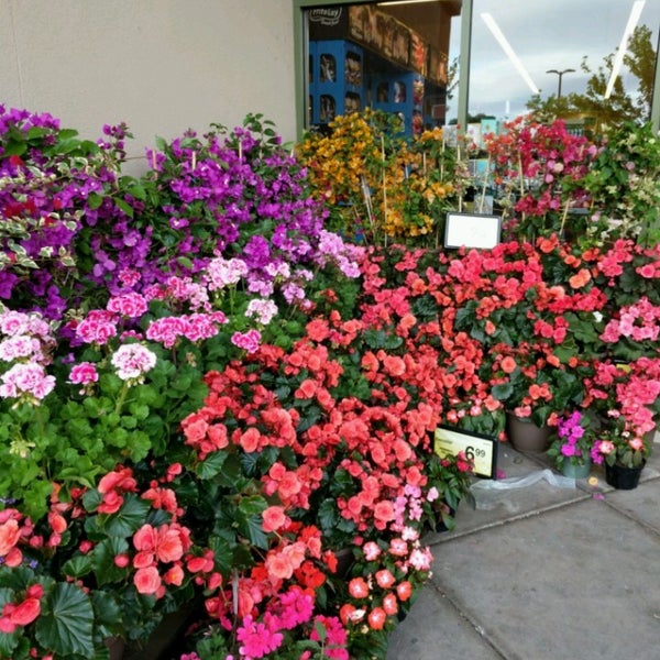 Safeway - Central Novato - 4 tips from 569 visitors