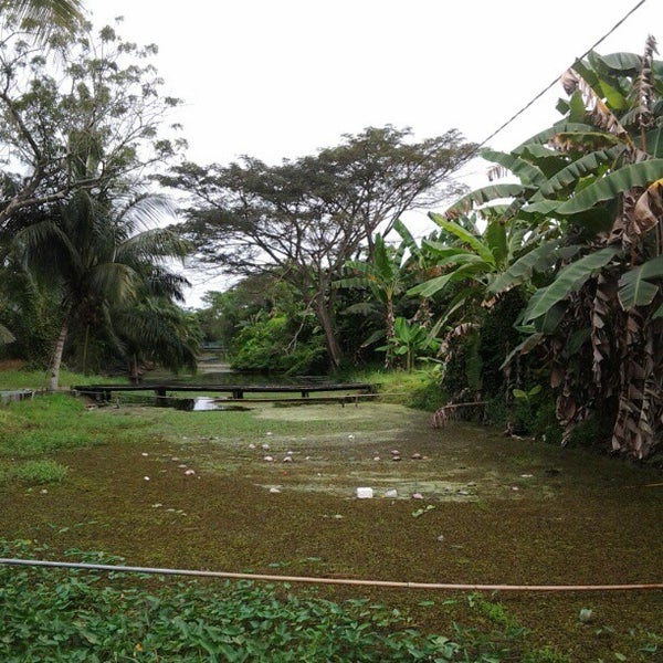 Bagan Datoh - Bagan Datoh