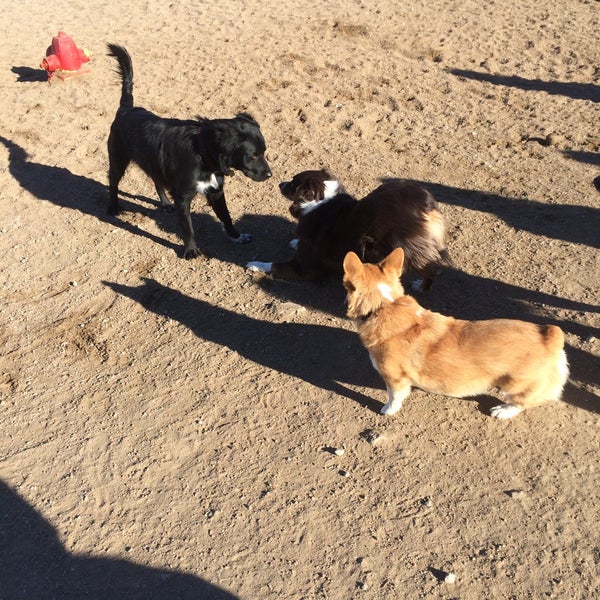 Lowry Dog Park - Dog Park in Lowry Field