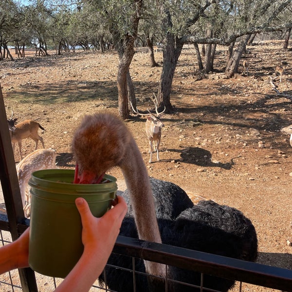 Exotic Resort Zoo - 9 tips from 363 visitors