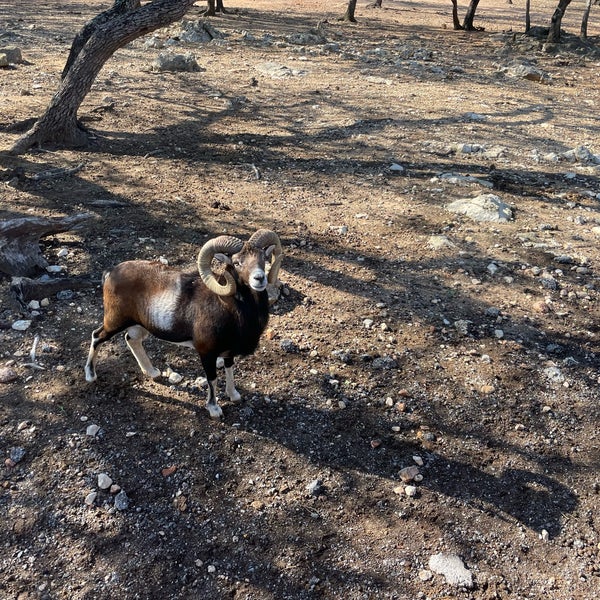 Exotic Resort Zoo - 9 tips from 363 visitors