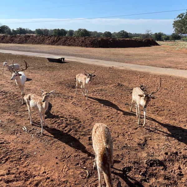 Exotic Resort Zoo - 9 tips from 363 visitors