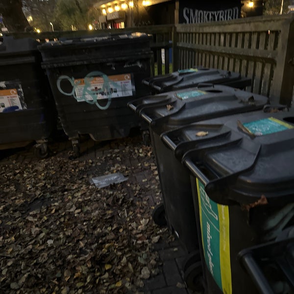 Recycling Bins - 3 visitors