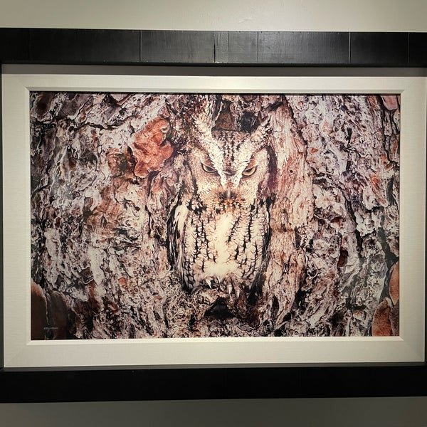 Contemporary Fine Arts Gallery - Art Gallery in San Diego