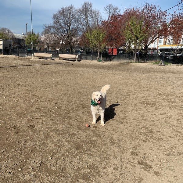Canton Dog Park - Dog Park in Baltimore