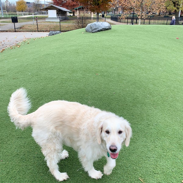 Locust Point Dog Park - Dog Park in Baltimore