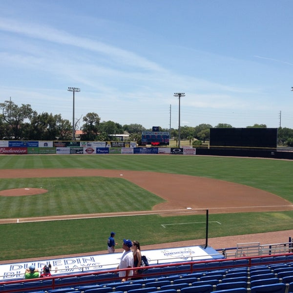 Dunedin Stadium - 16 tips