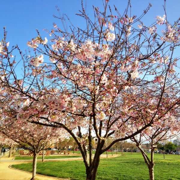 Raymond Bernal Jr Memorial Park - Downtown San Jose - 801-849 N 8th St.