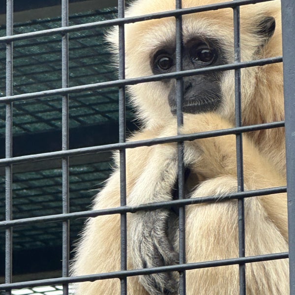 Frank Buck Zoo - Zoo