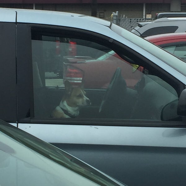 Travis Coffee Shop - Saint Clair Shores - 22 tips from 631 visitors