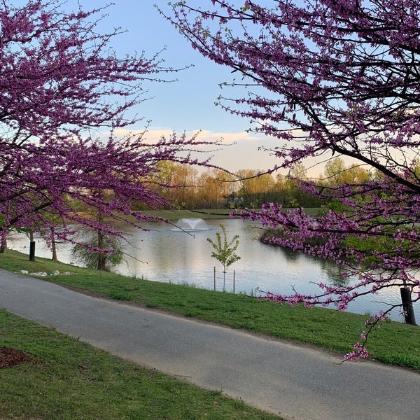 Bowie City Hall - City Hall