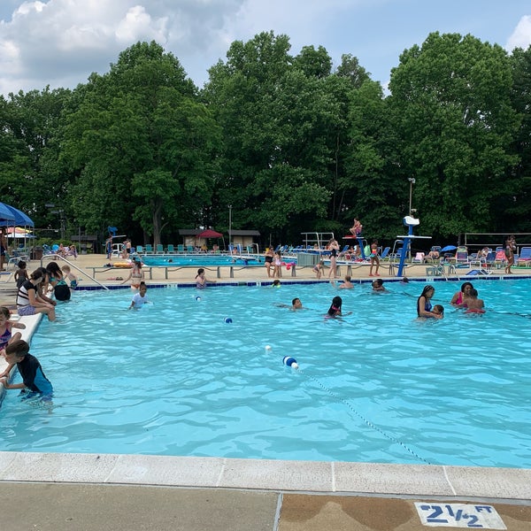 Does The Pointer Like To Swim