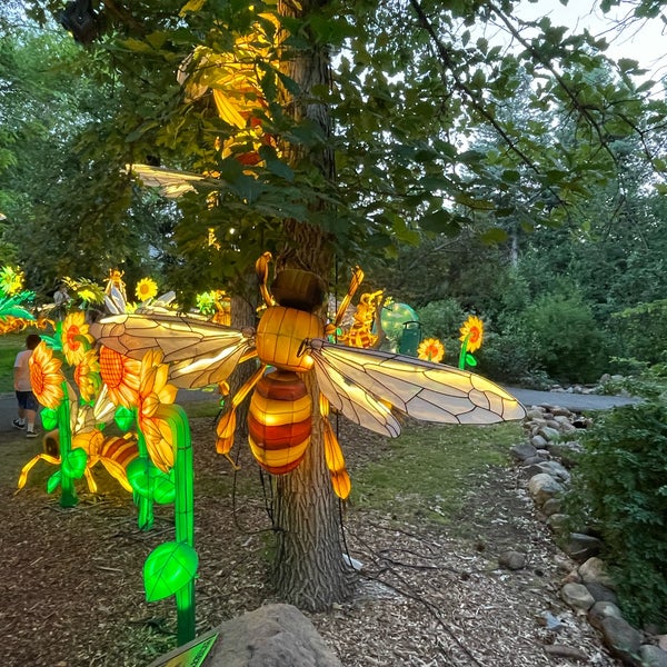 Rancho San Rafael Park - Park