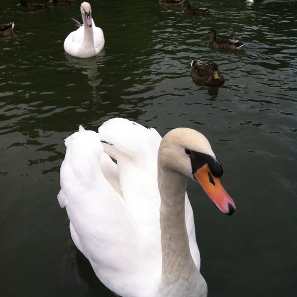 Gypsy Hill Park Duck Pond - Staunton, VA
