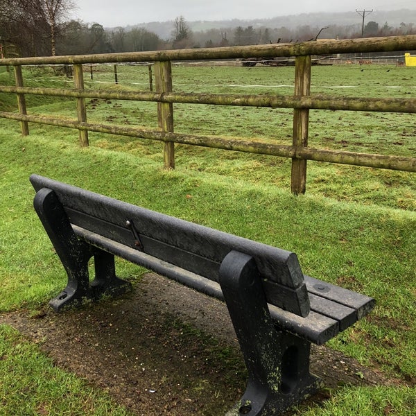 Photos at Fota Wildlife Park - Zoo