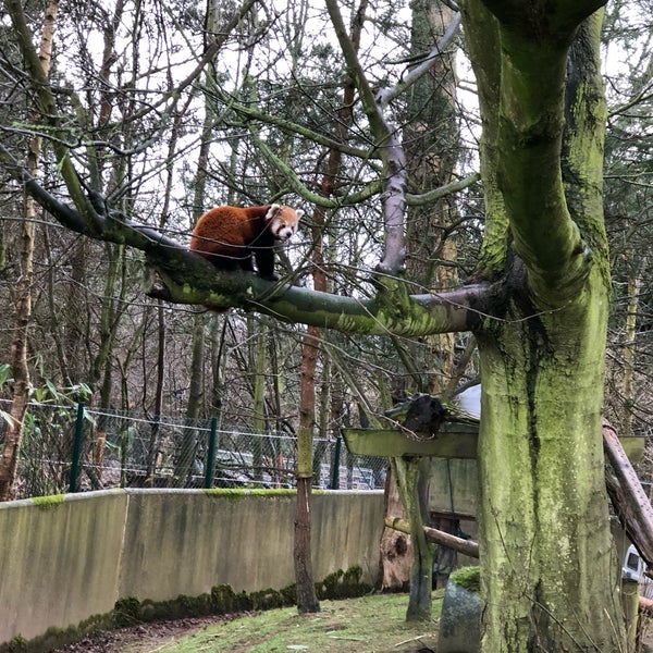 Photos at Fota Wildlife Park - Zoo