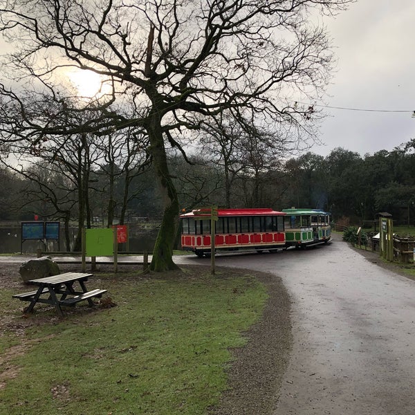 Photos at Fota Wildlife Park - Zoo