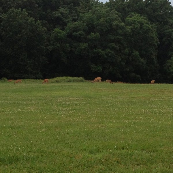 Carter Barron Park - Rock Creek Park - Washington, D.C.