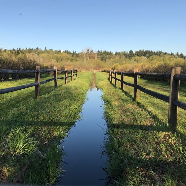Mercer Slough Blueberry Farm - Farm in Bellevue