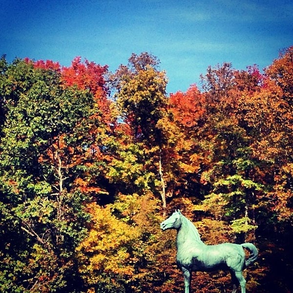University of Vermont Morgan Horse Farm - 1 tip