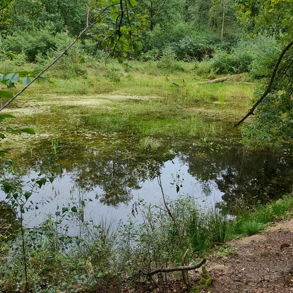 Boswachterij Dorst - 4 tips