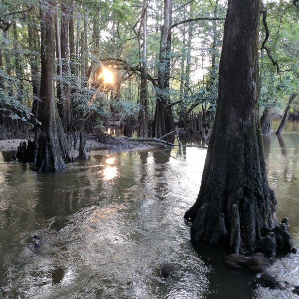 Lynches River County Park - Park