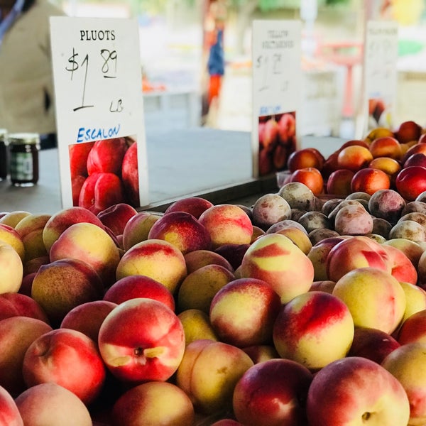 Davis Ranch - Sloughhouse, CA