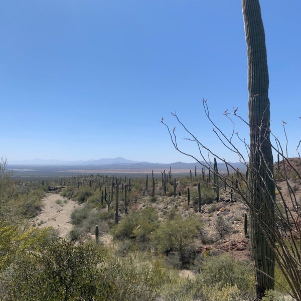 Arizona-Sonora Desert Museum - Museum in Tucson