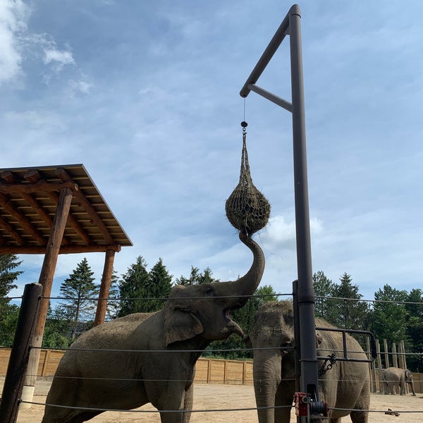 Elephant Exhibit - 3 tips from 603 visitors