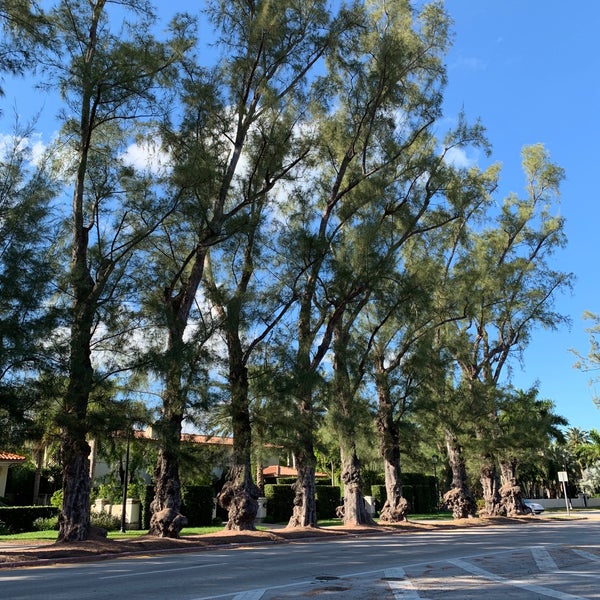 Pine Tree Drive - Road in Miami Beach