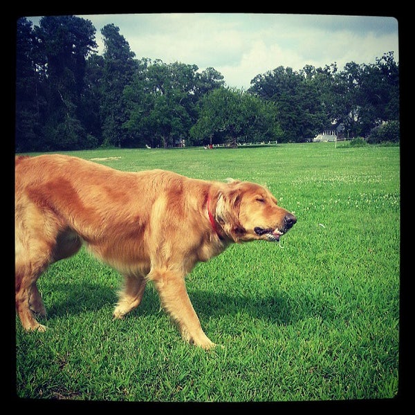 Bandy Field - Three Chopt - 2 tips