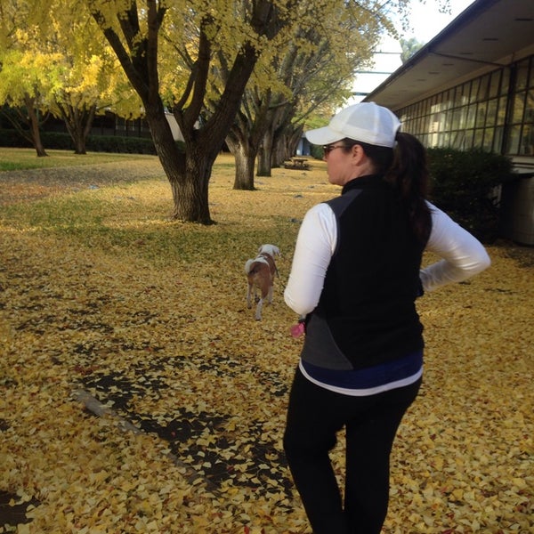 Alpine Hall (ALP) - California State University-Sacramento - Sacramento, CA