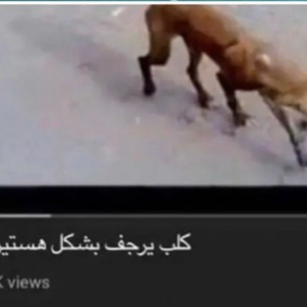 Photos at Kern Graduate Building - Penn State University