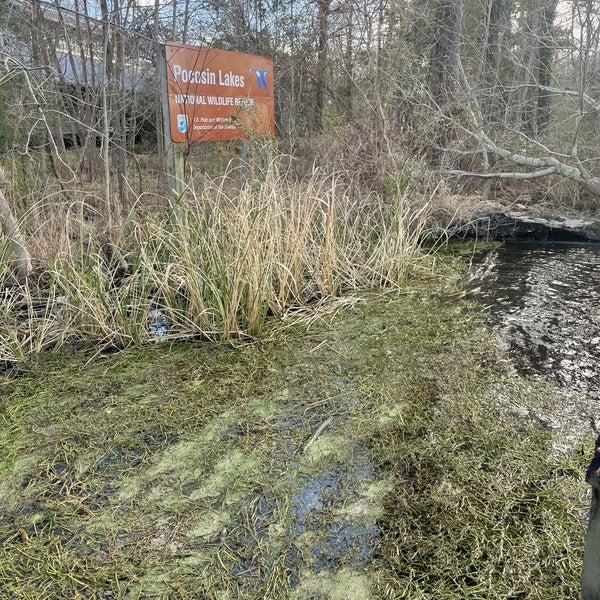 Pocosin Lakes National Wildlife Refuge - Other Great Outdoors