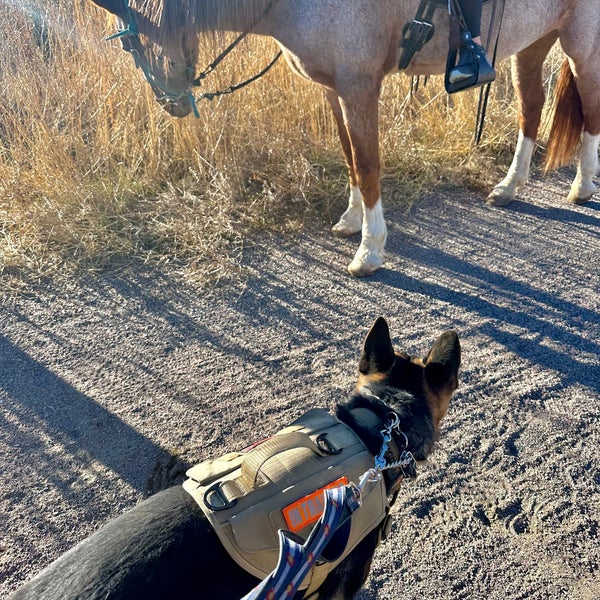 Doudy Draw Trailhead - Boulder, CO