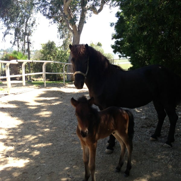 KK Ranch - Farm in Bayview