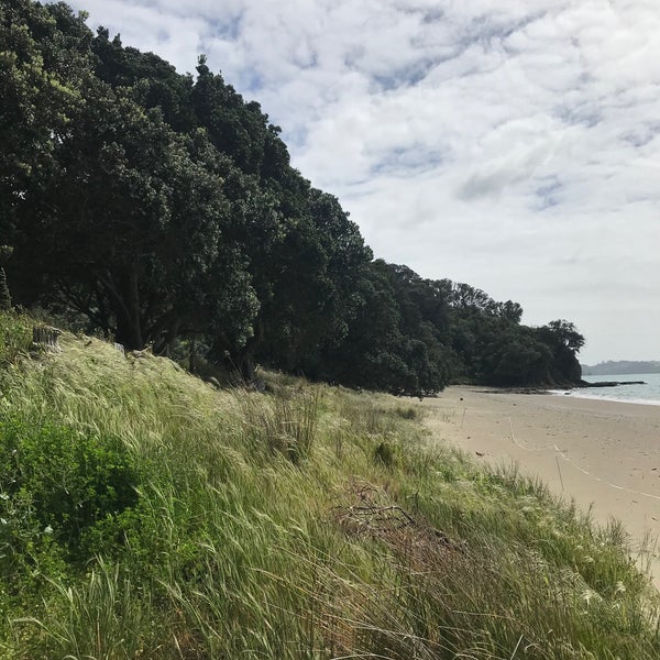 Mahurangi Regional Park - Beach