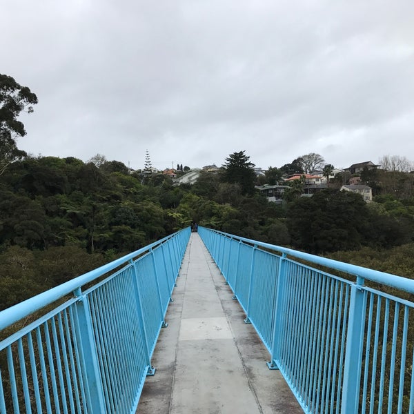 Moire Park - Park in West Auckland