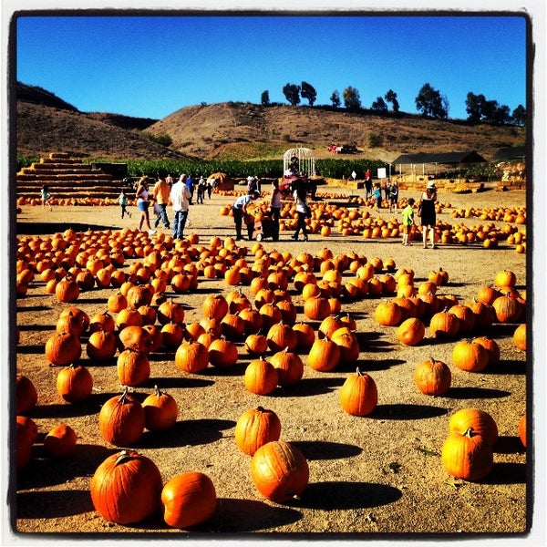 Lombardi Ranch (Now Closed) - Newhall - 5 tips