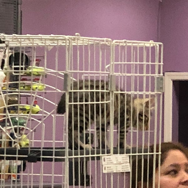 California Pets - Pet Supplies Store