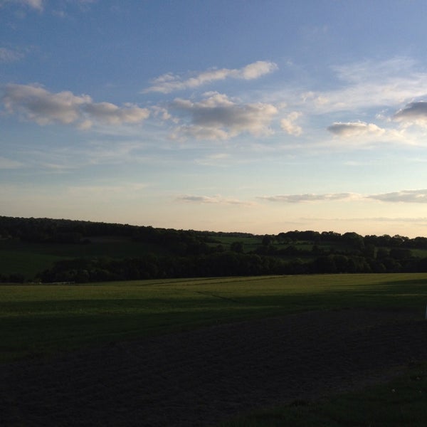 Epsom Downs - Park in Epsom
