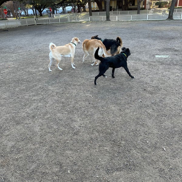 Meadows Foundation Dog Park - Dog Park in Dallas