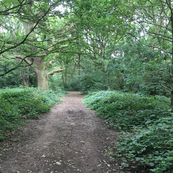 Tooting Graveney Common - Furzedown - 1 tip from 47 visitors