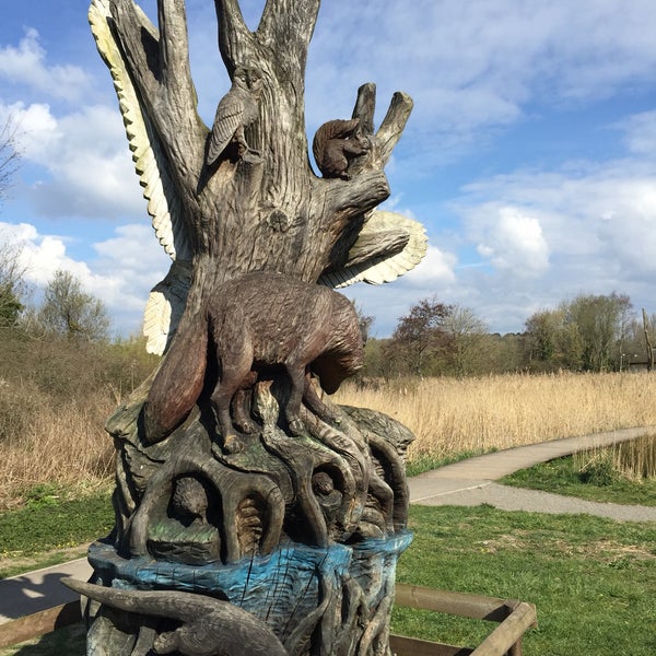 Cosmeston Country Park - Park in Penarth