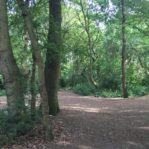 Tooting Graveney Common - Furzedown - 1 tip from 47 visitors