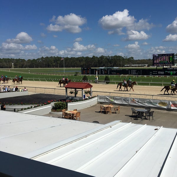 Photos at Tampa Bay Downs - Race Track