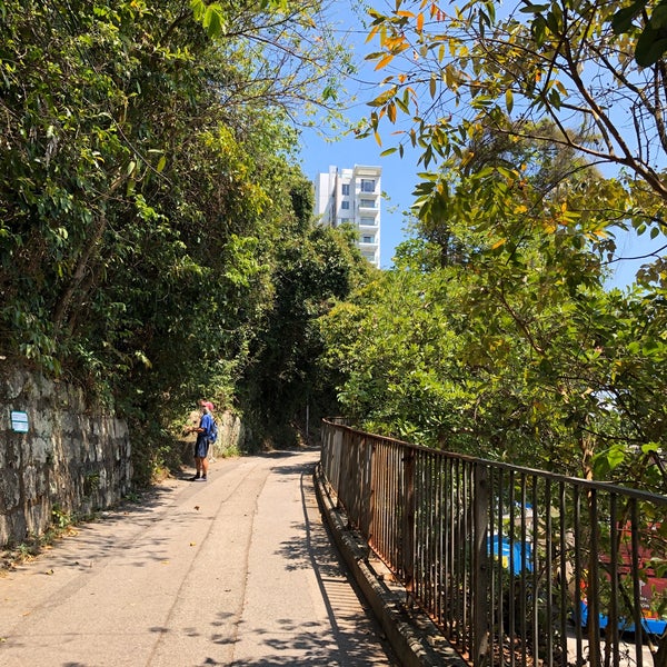 Mount Davis Road 摩星嶺道