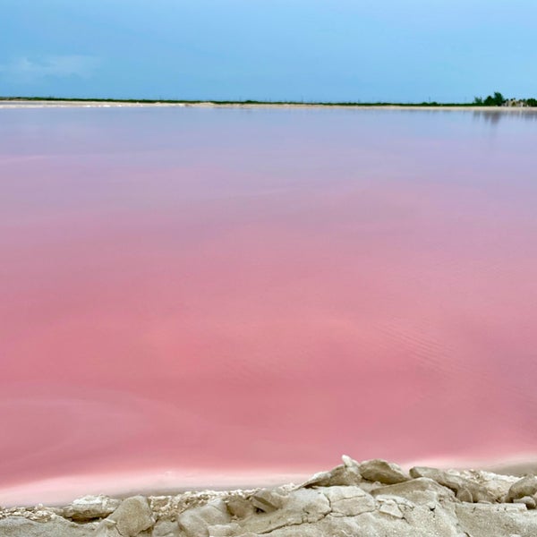 Las Coloradas - 31 tips from 1733 visitors
